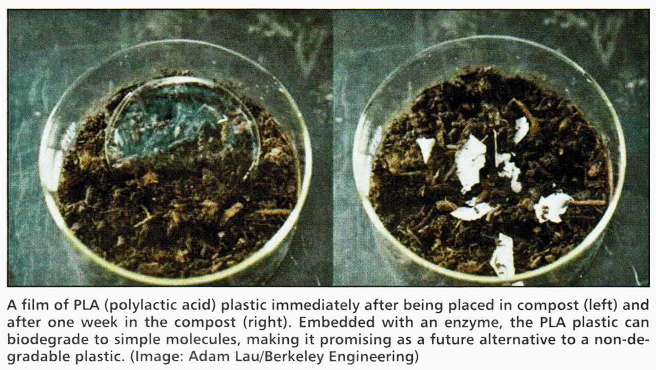 Self-Destructing Plastics - A 2021 Award Winning Recycling Solution