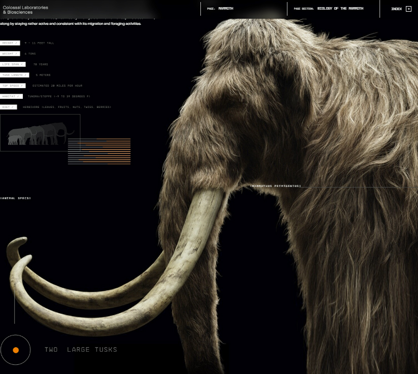 Back from Extinction::The Dire Wolf & Wooly Mammoth